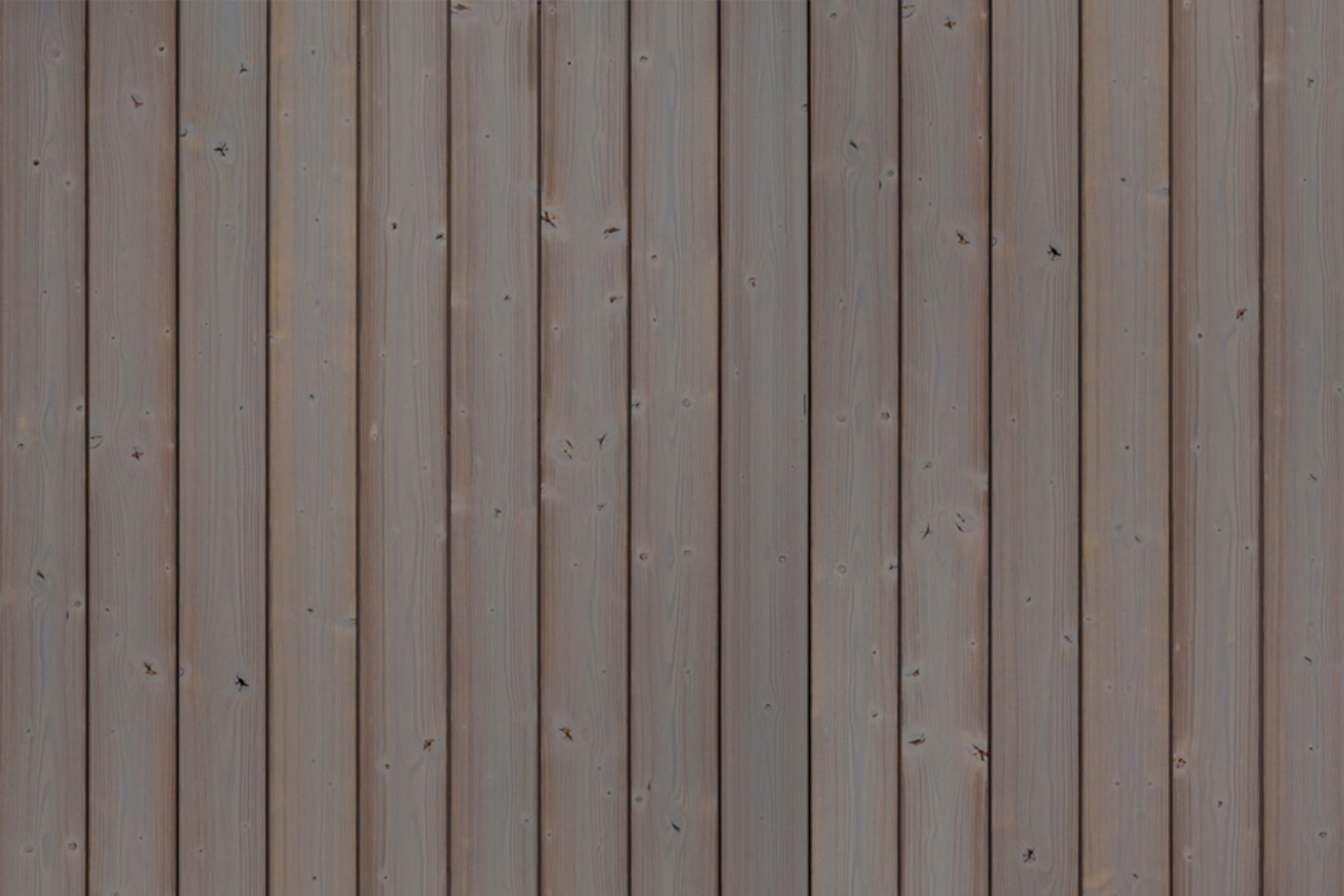 Thermory Vivid Silvered thermo-spruce C24 - Thermory